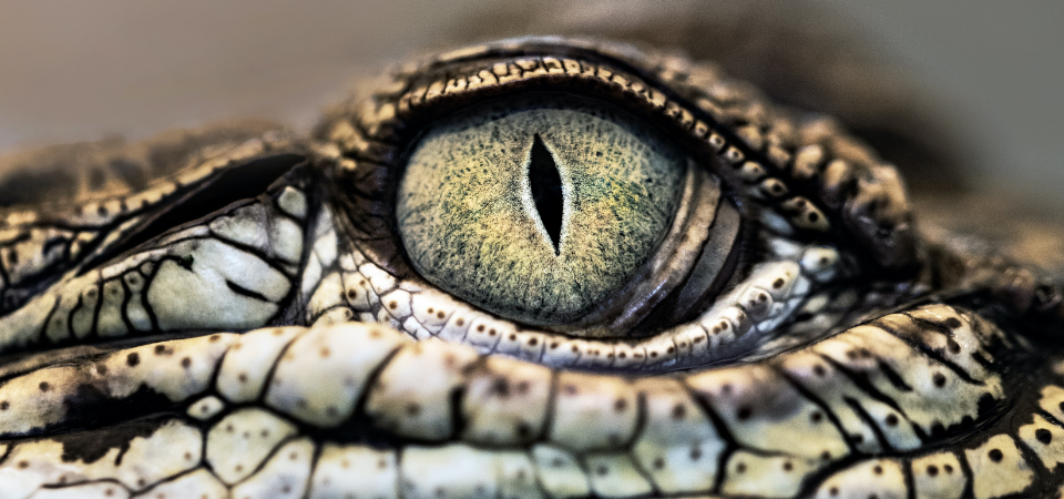 What's On | Kwena Square